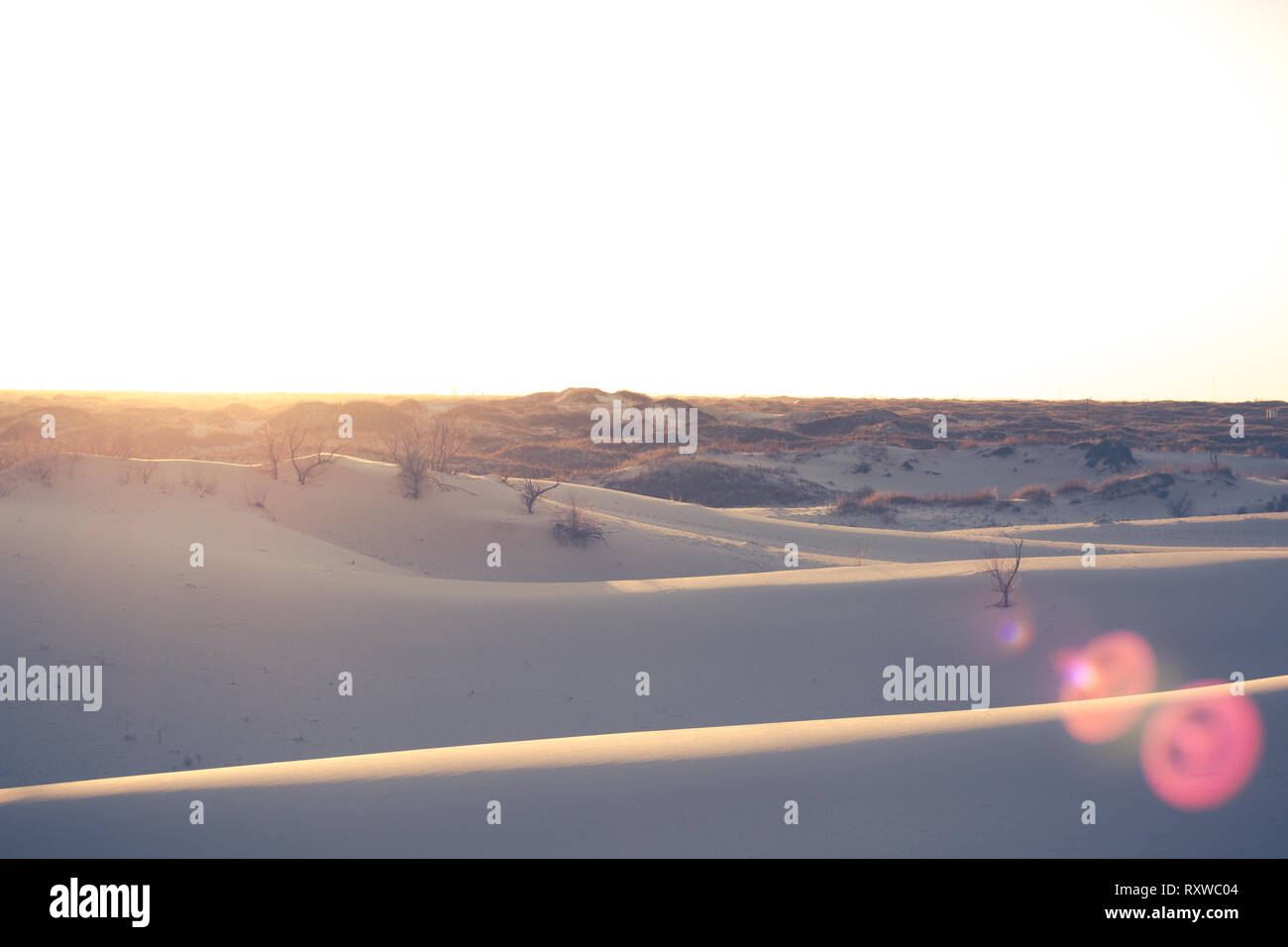 Monahans Sandhills High Resolution Stock Photography and Images - Alamy