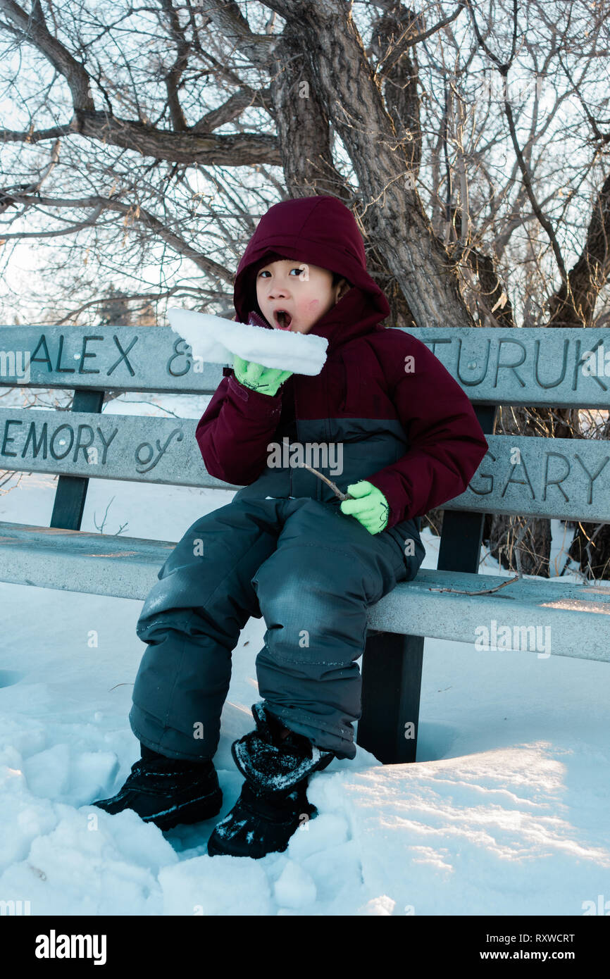 A little boy seating on a bench under a winter cold weather Stock Photo ...