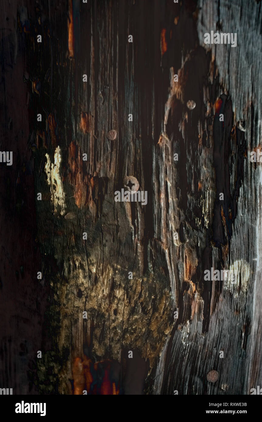 Old plank of wood Stock Photo - Alamy