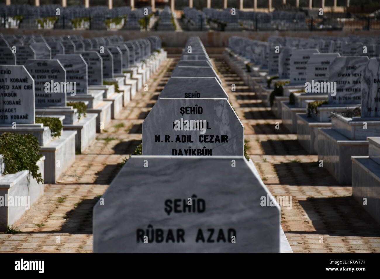 Qsd hi-res stock photography and images - Alamy