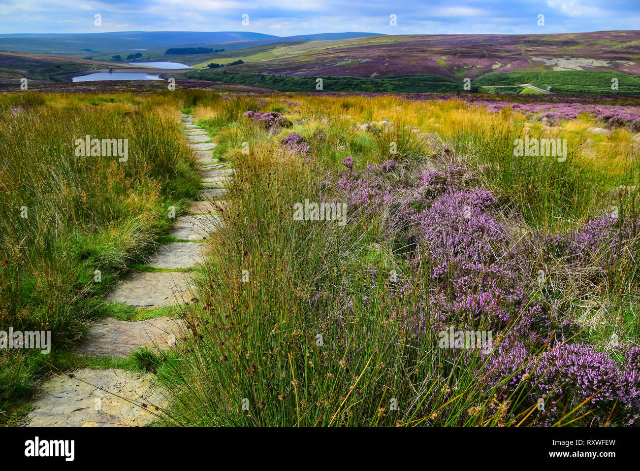 Causey footpath hi-res stock photography and images - Alamy