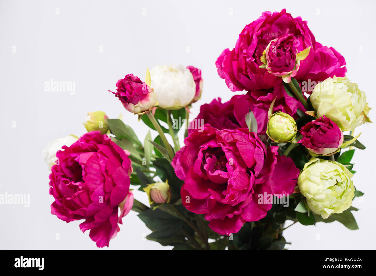 Burgundy peonies hi-res stock photography and images - Alamy