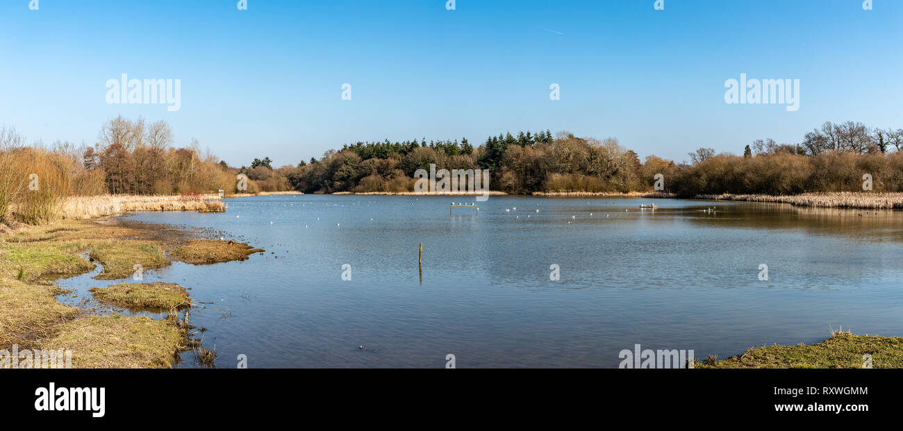 The lake at Warnham Nature Reserve Stock Photo - Alamy