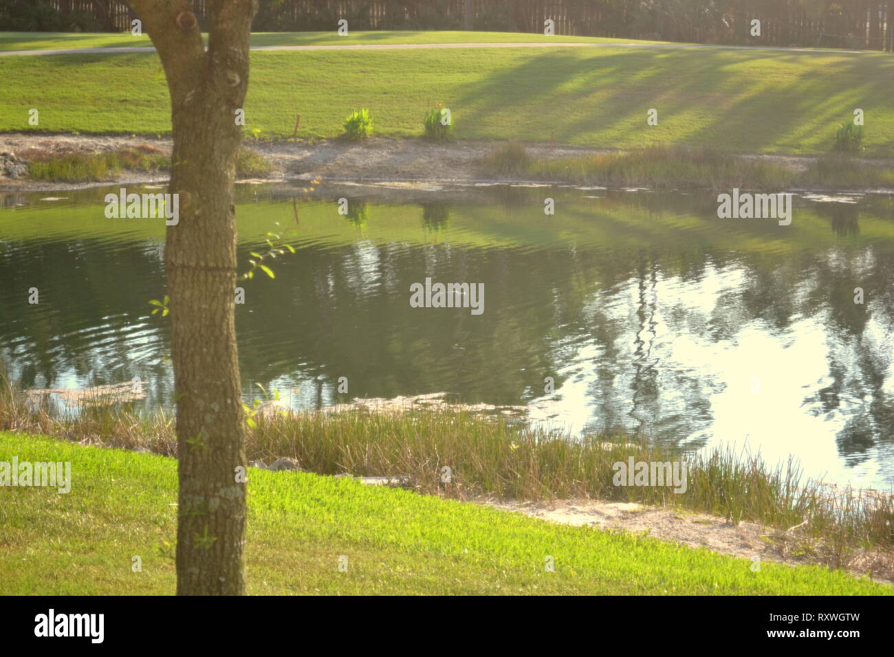 Summer Lake Time Stock Photo - Alamy