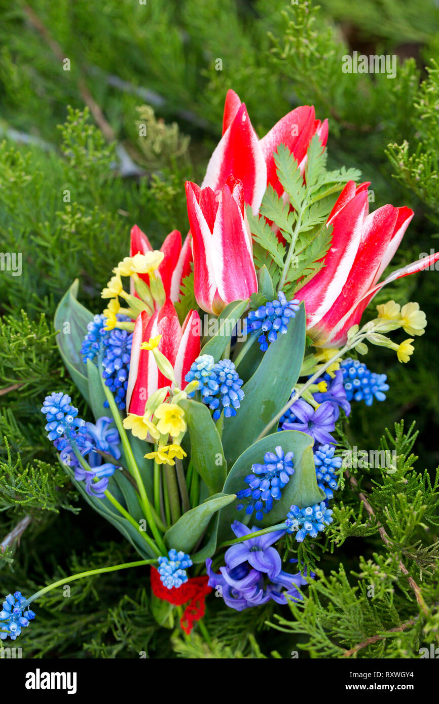 Small spring wedding bouquet Stock Photo - Alamy