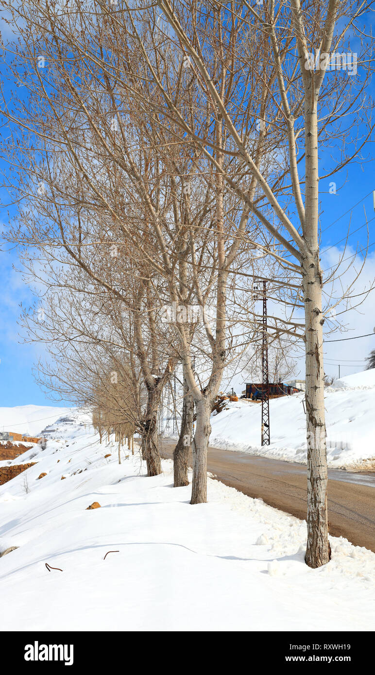 Mountain road in lebanon hi-res stock photography and images - Alamy