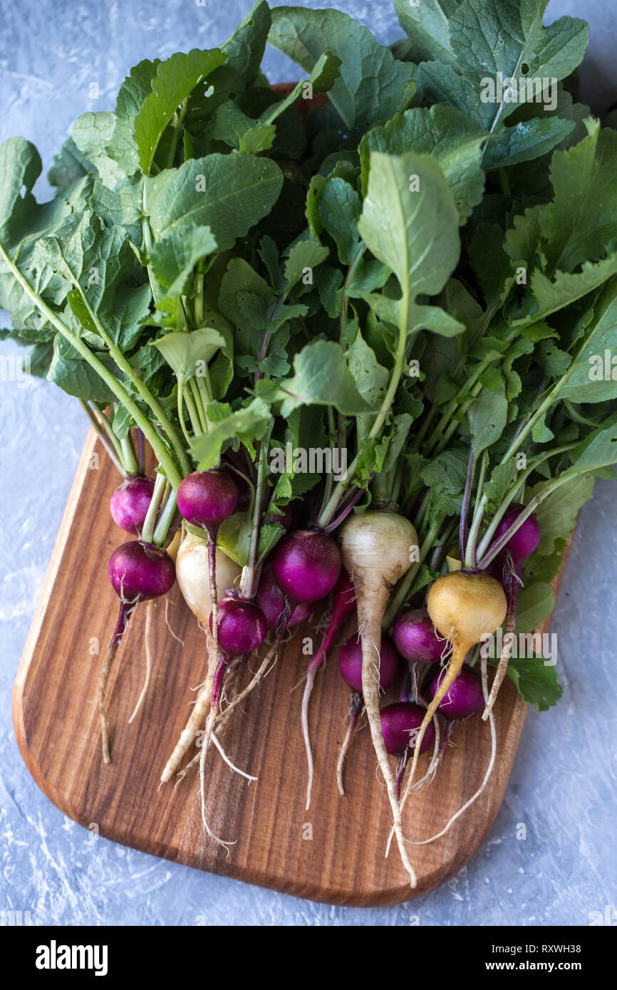 Flesh colored hi-res stock photography and images - Alamy