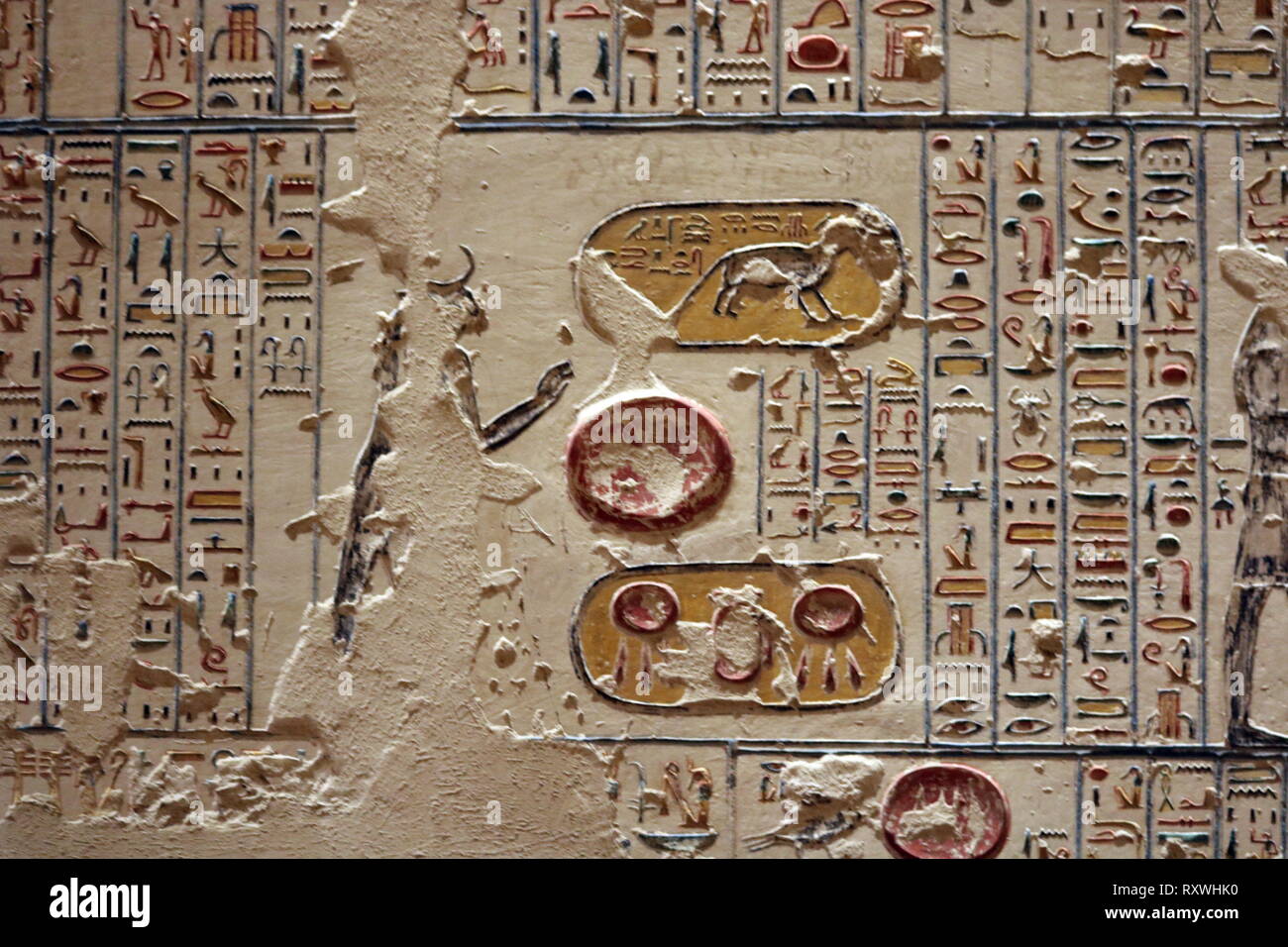 Ramesses v hi-res stock photography and images - Alamy
