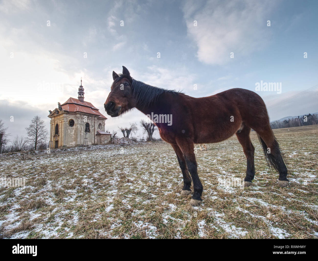 Halter tower hi-res stock photography and images - Alamy
