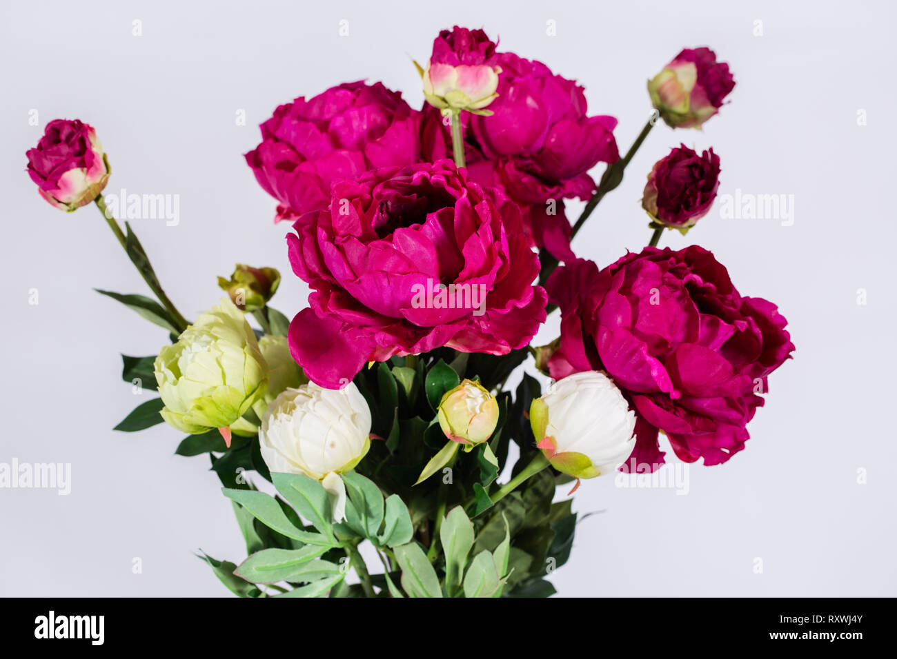 A bouquet of beautiful burgundy peonies Stock Photo - Alamy