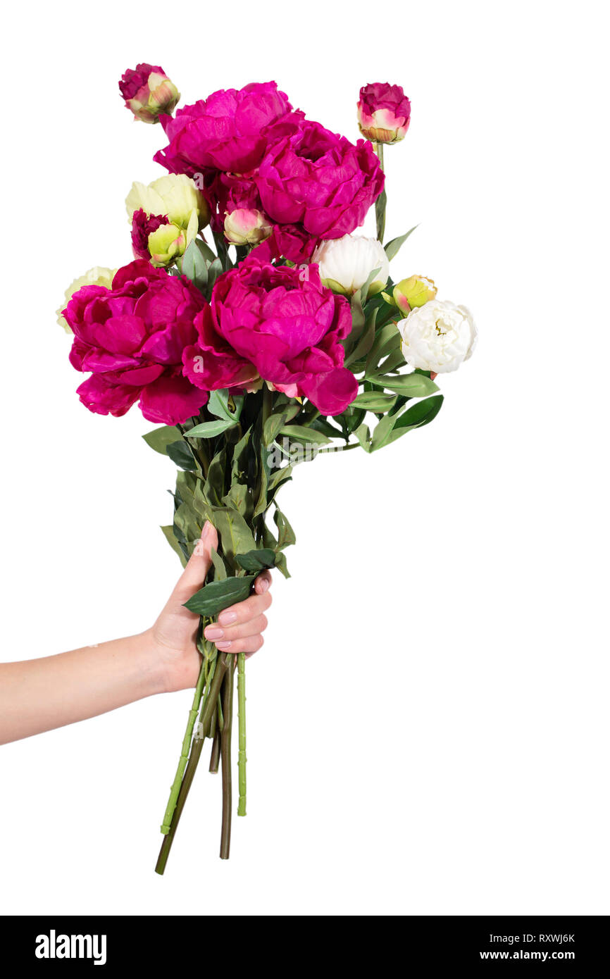 hand is holding a peonies Stock Photo - Alamy