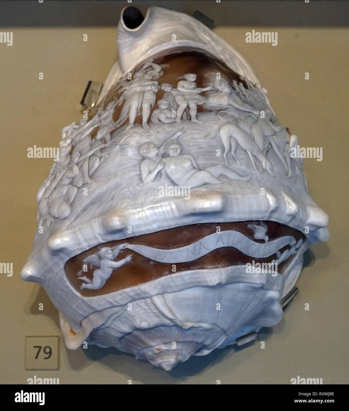 A carved sea shell depicting Diana at the Hunt. Italy (probably Naples ...