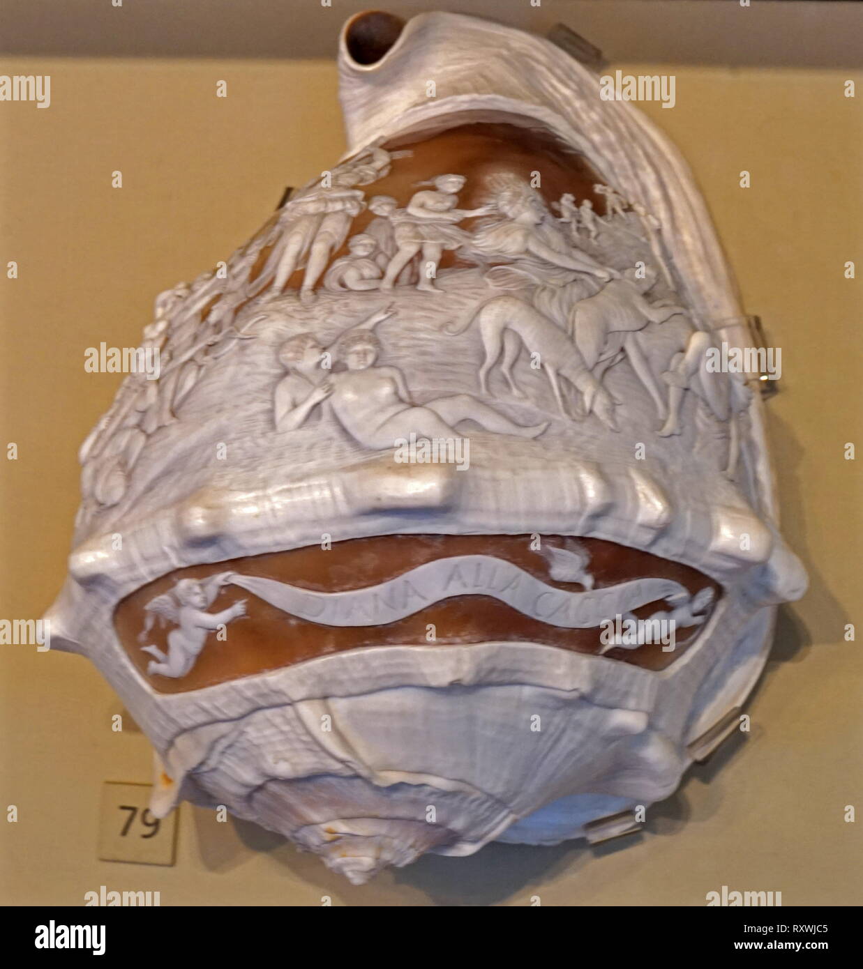 A carved sea shell depicting Diana at the Hunt. Italy (probably Naples ...