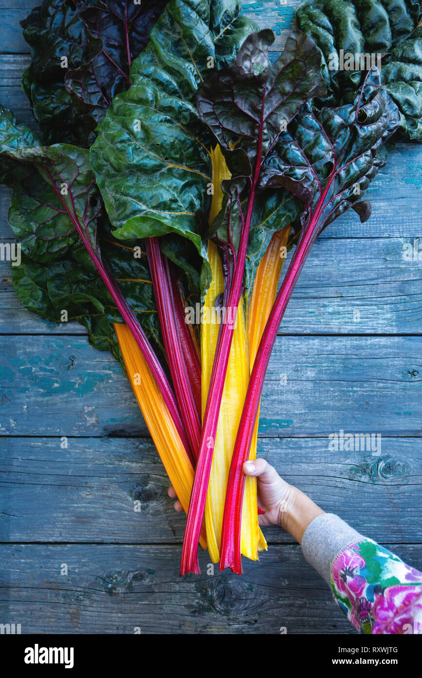 stems of fresh chard Stock Photo - Alamy