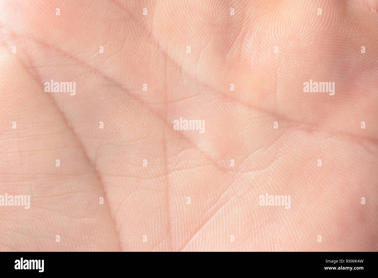 Close up macro image of the skin surface texture of human hands palms ...