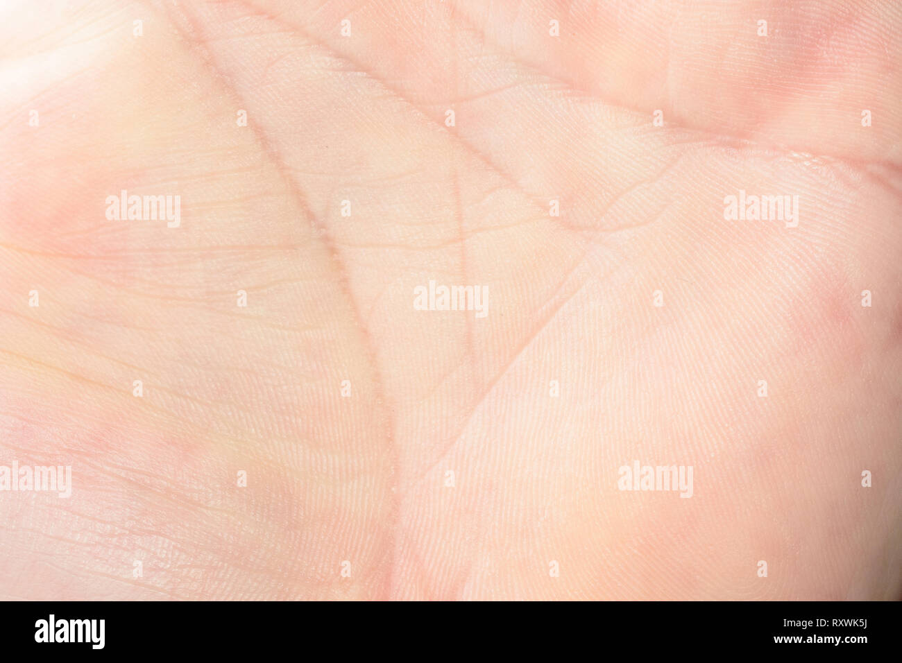 Close up macro image of the skin surface texture of human hands palms ...
