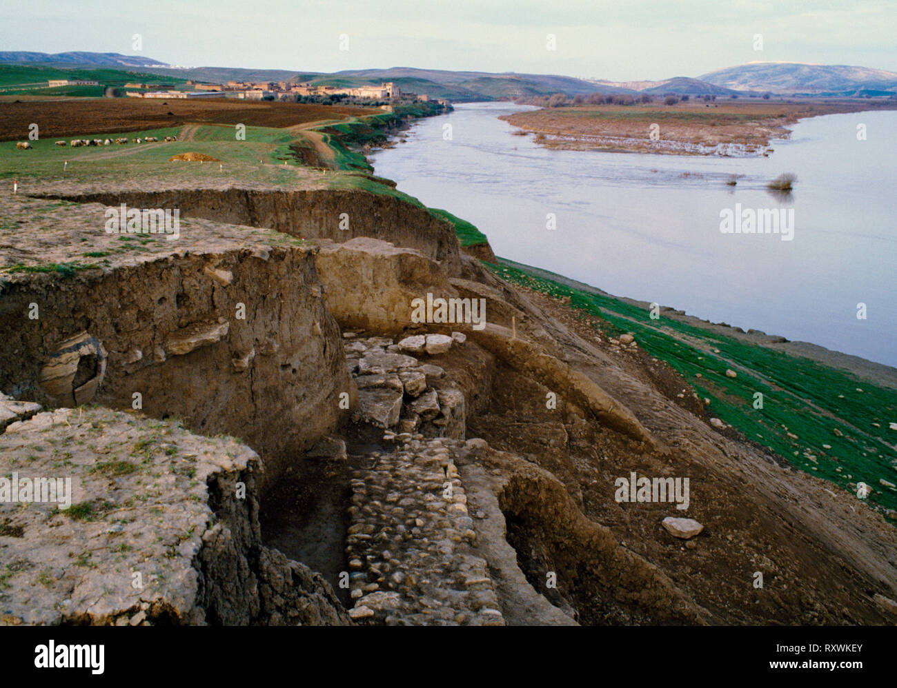 River tigris hi-res stock photography and images - Alamy