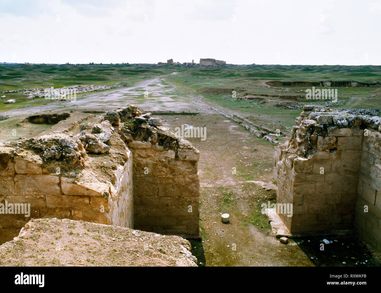 Septimius severas hi-res stock photography and images - Alamy