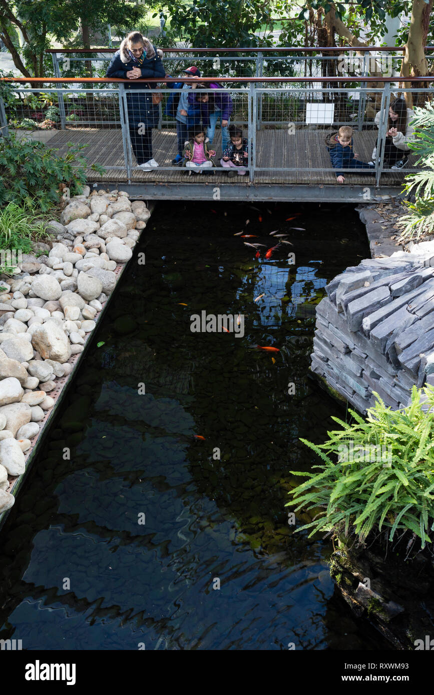 Child looking at reflection in water hi-res stock photography and ...