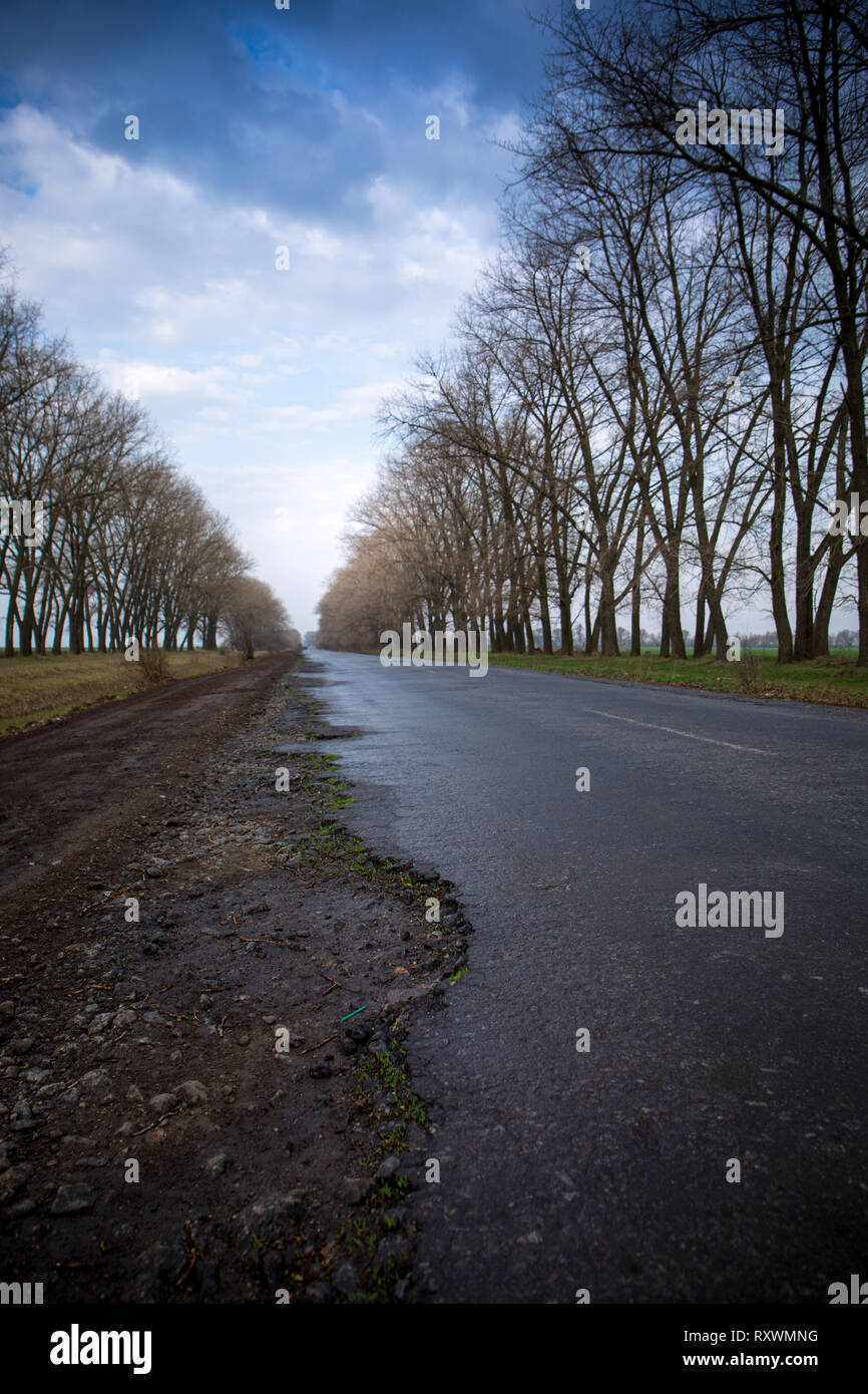creepy asphalt road Stock Photo - Alamy