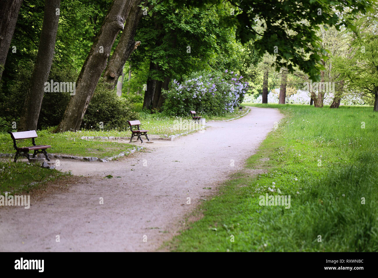Wide walking path Stock Photo - Alamy