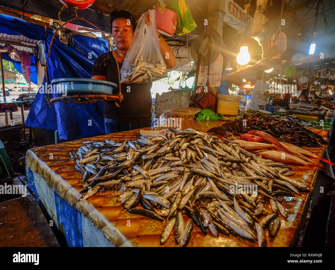 Coron, Philippines - Apr 8, 2017. Fish market of Coron Island ...