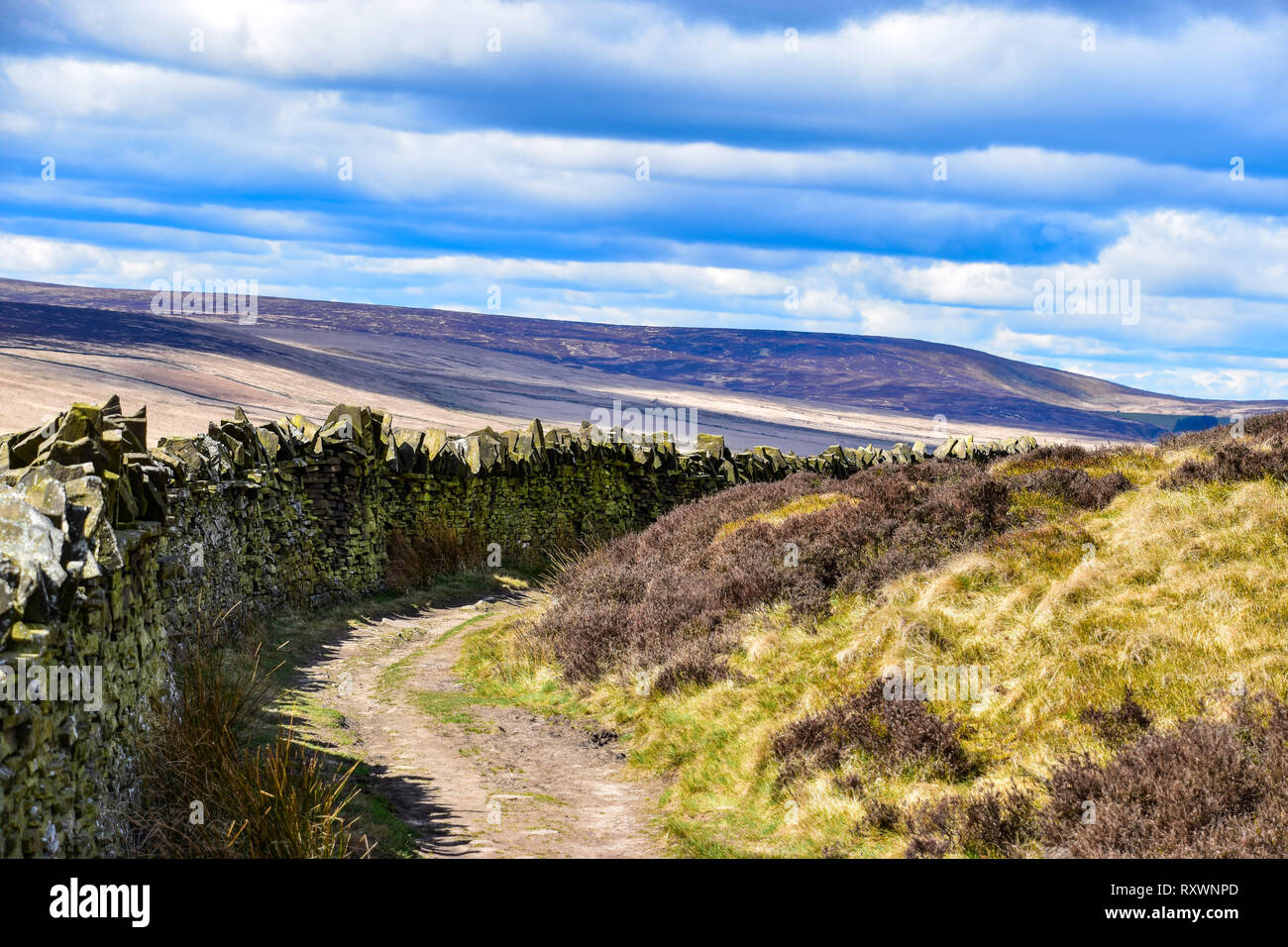 Dry Stone Wall by Pennine trail on moorland looking to Heptonstall Moor ...