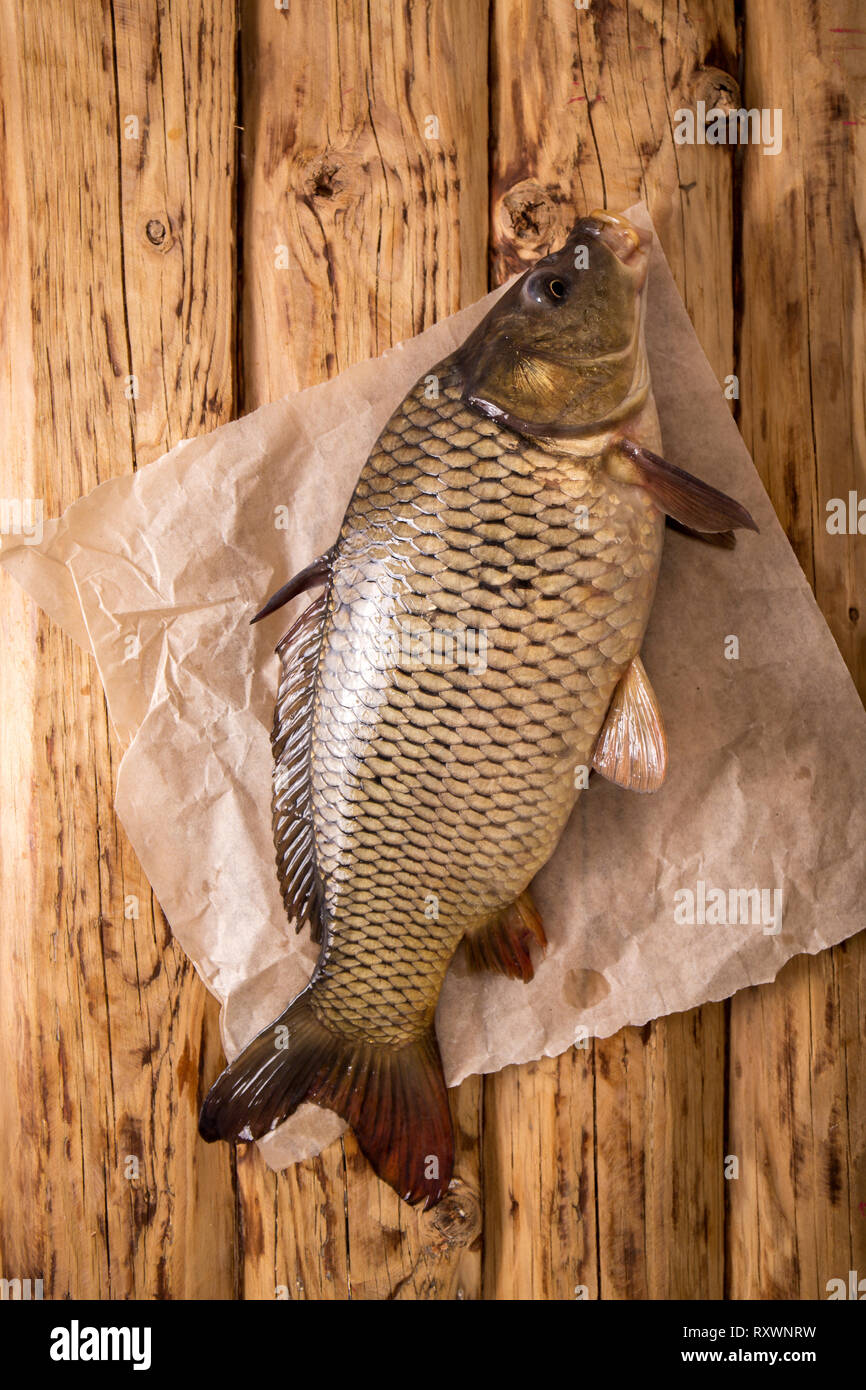 Big fresh carp, top view Stock Photo - Alamy