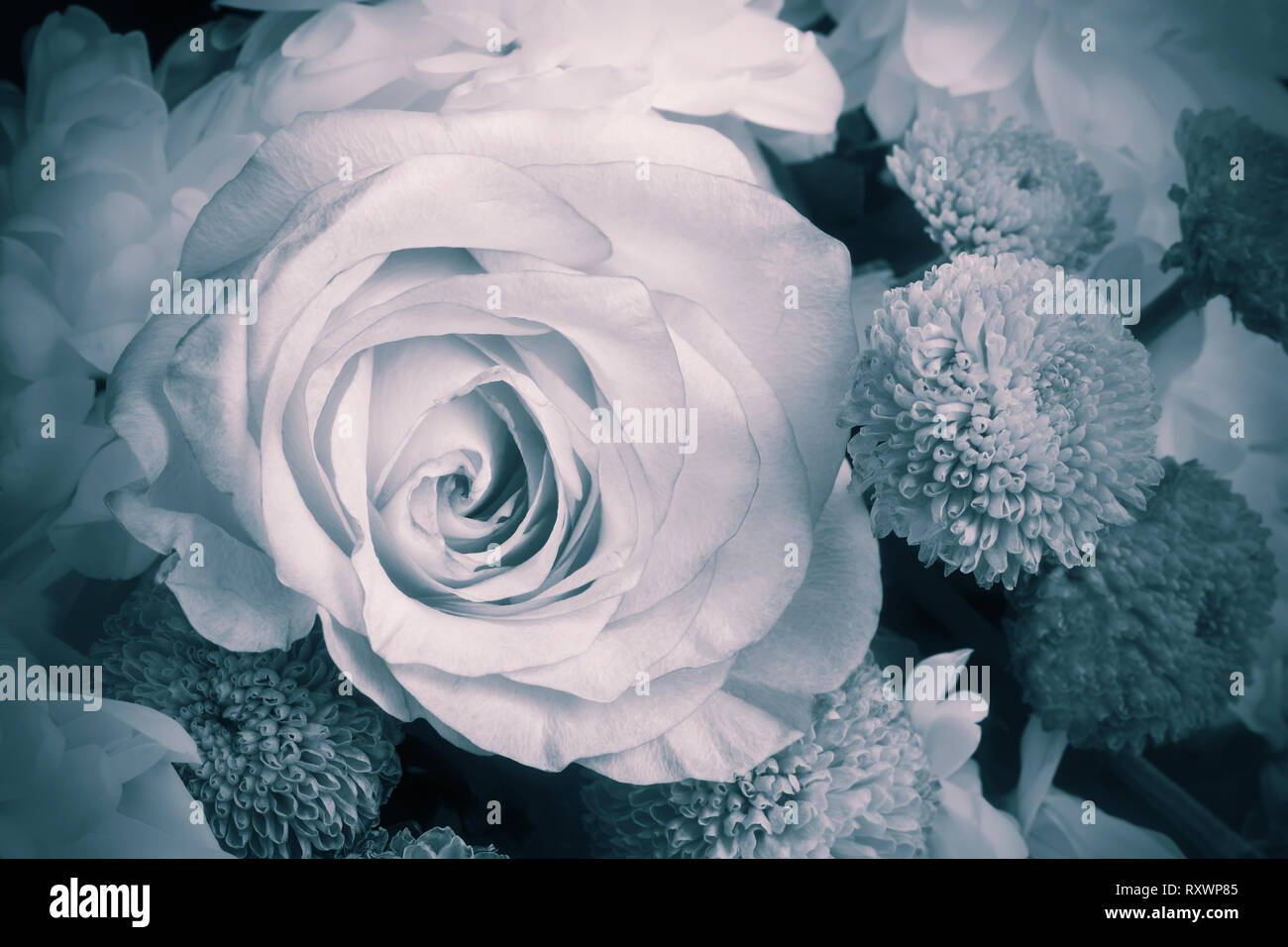 Beautiful wedding photography location hi-res stock photography and ...