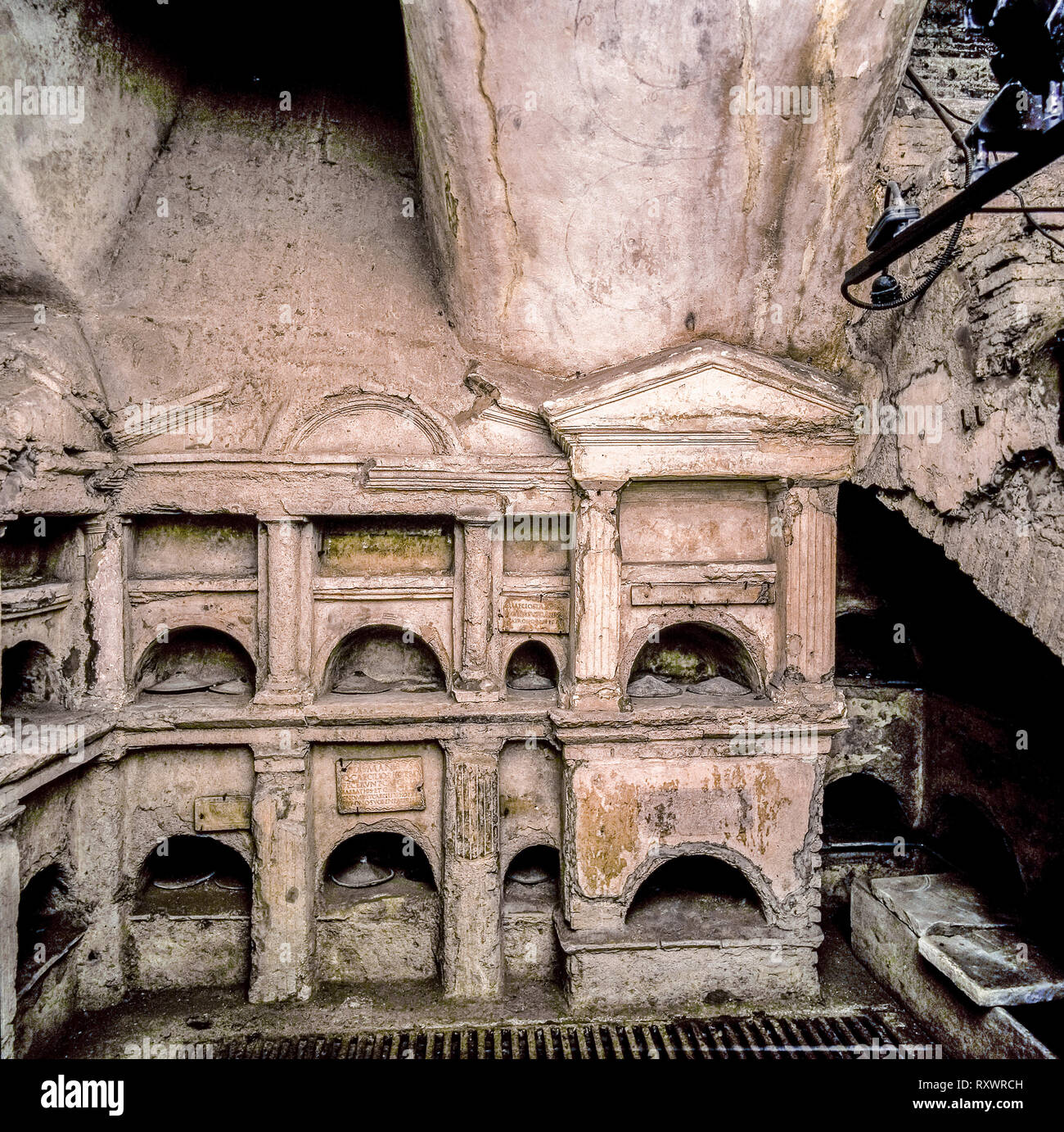 Pomponius hi-res stock photography and images - Alamy