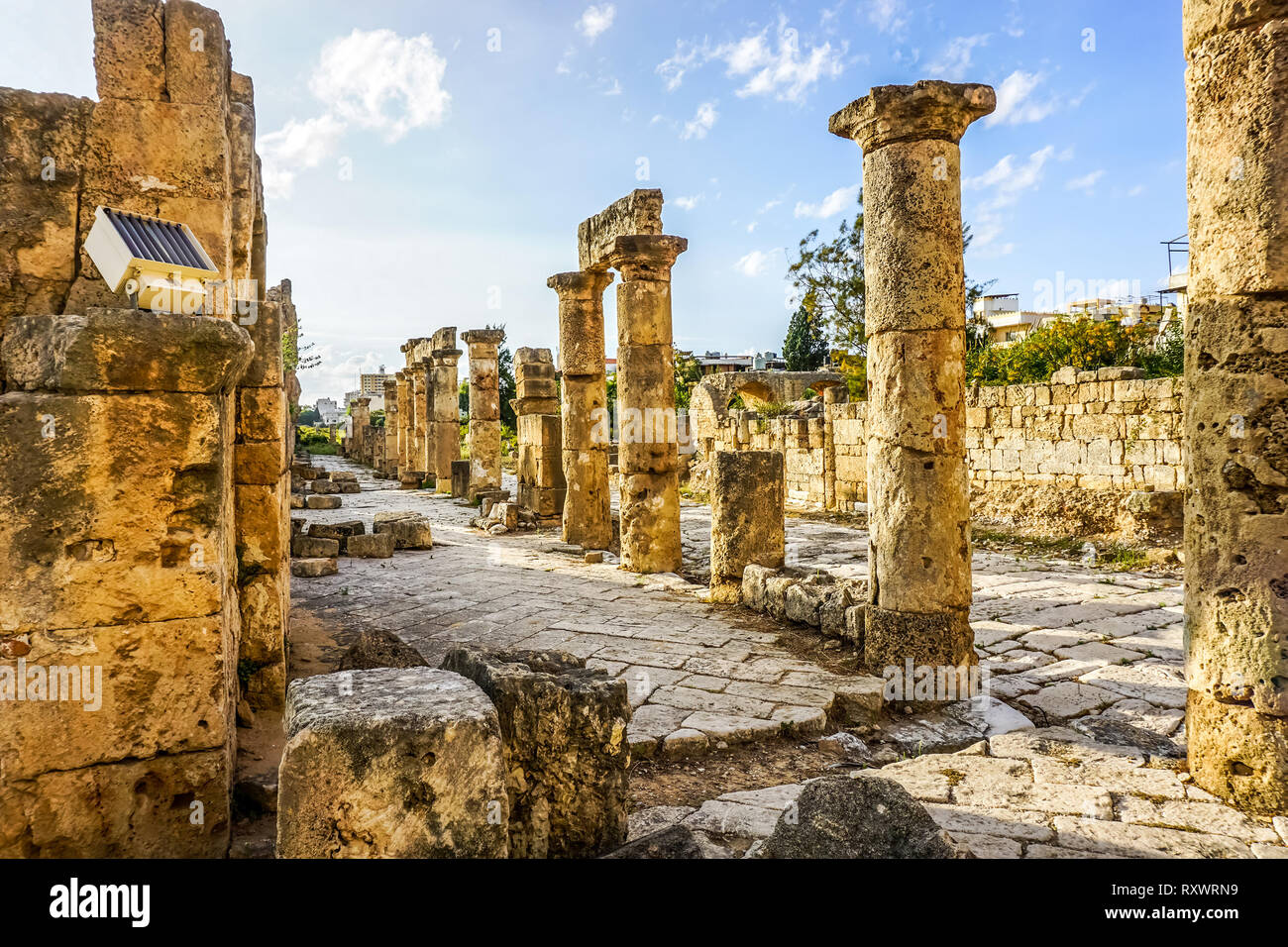 Tyre Hippodrome Ruins and Necropolis with Picturesque Pillars Leading ...
