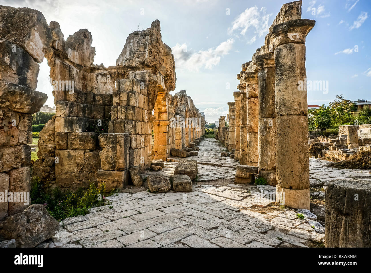 Tyre Hippodrome Ruins and Necropolis with Picturesque Pillars Leading ...