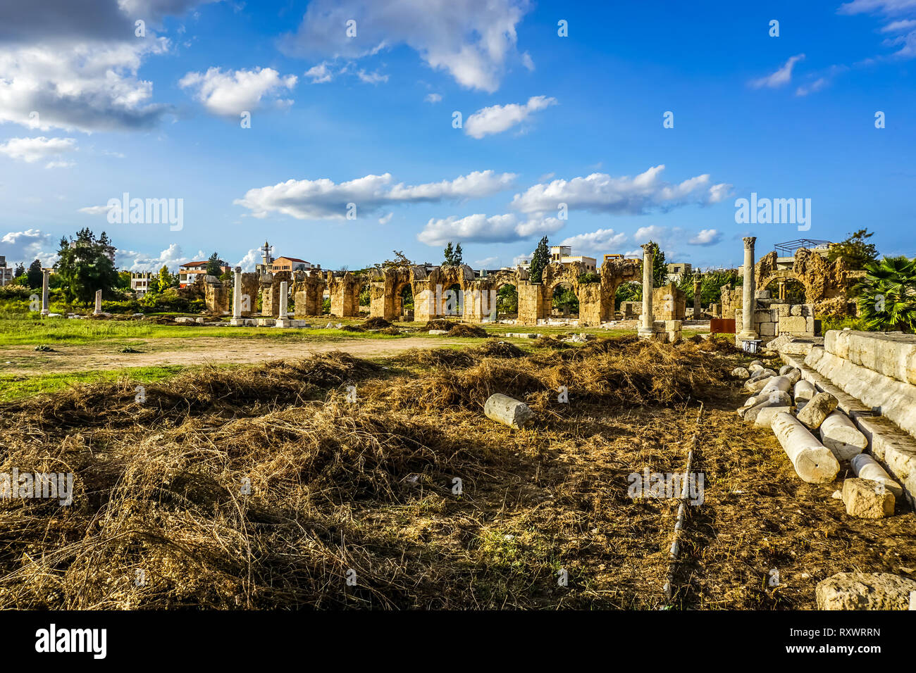 Tyre Hippodrome Ruins and Necropolis with Picturesque Pillars at ...