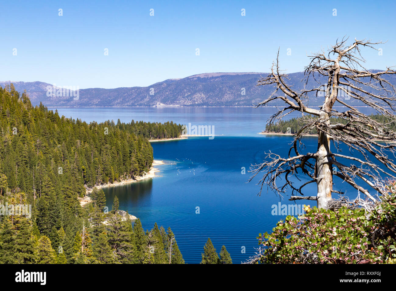 Lake Tahoe mountain landscape scene in California Stock Photo - Alamy