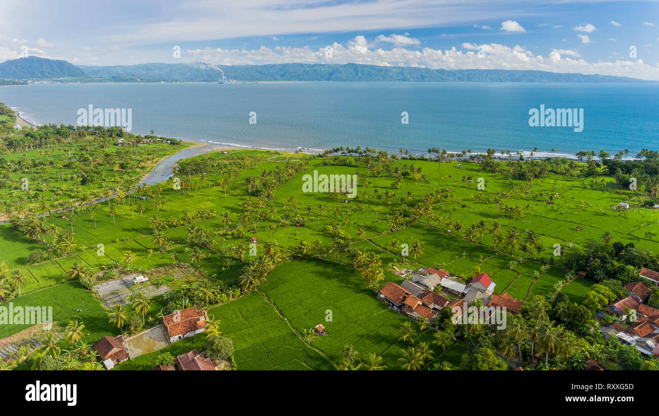 The green expanse of agricultural area (paddy rice fields) by the sea ...