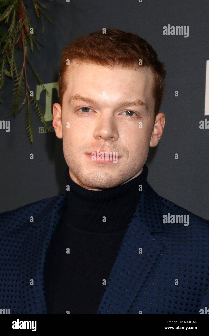 FOX TCA All-Star Party held at the Fig House Featuring: Cameron ...