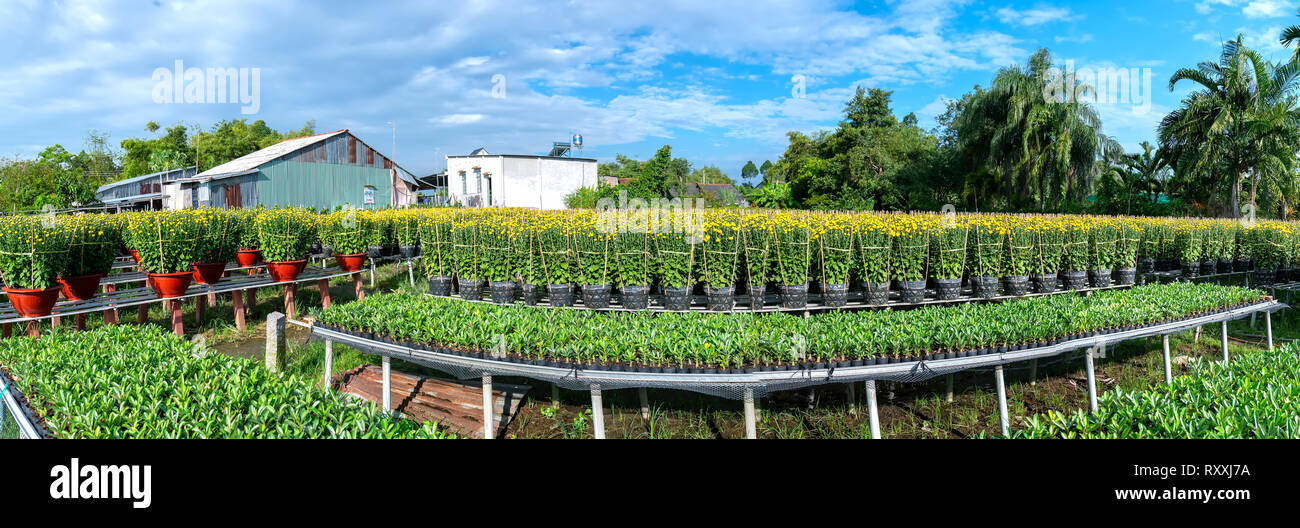 Floating garden beds hi-res stock photography and images - Alamy