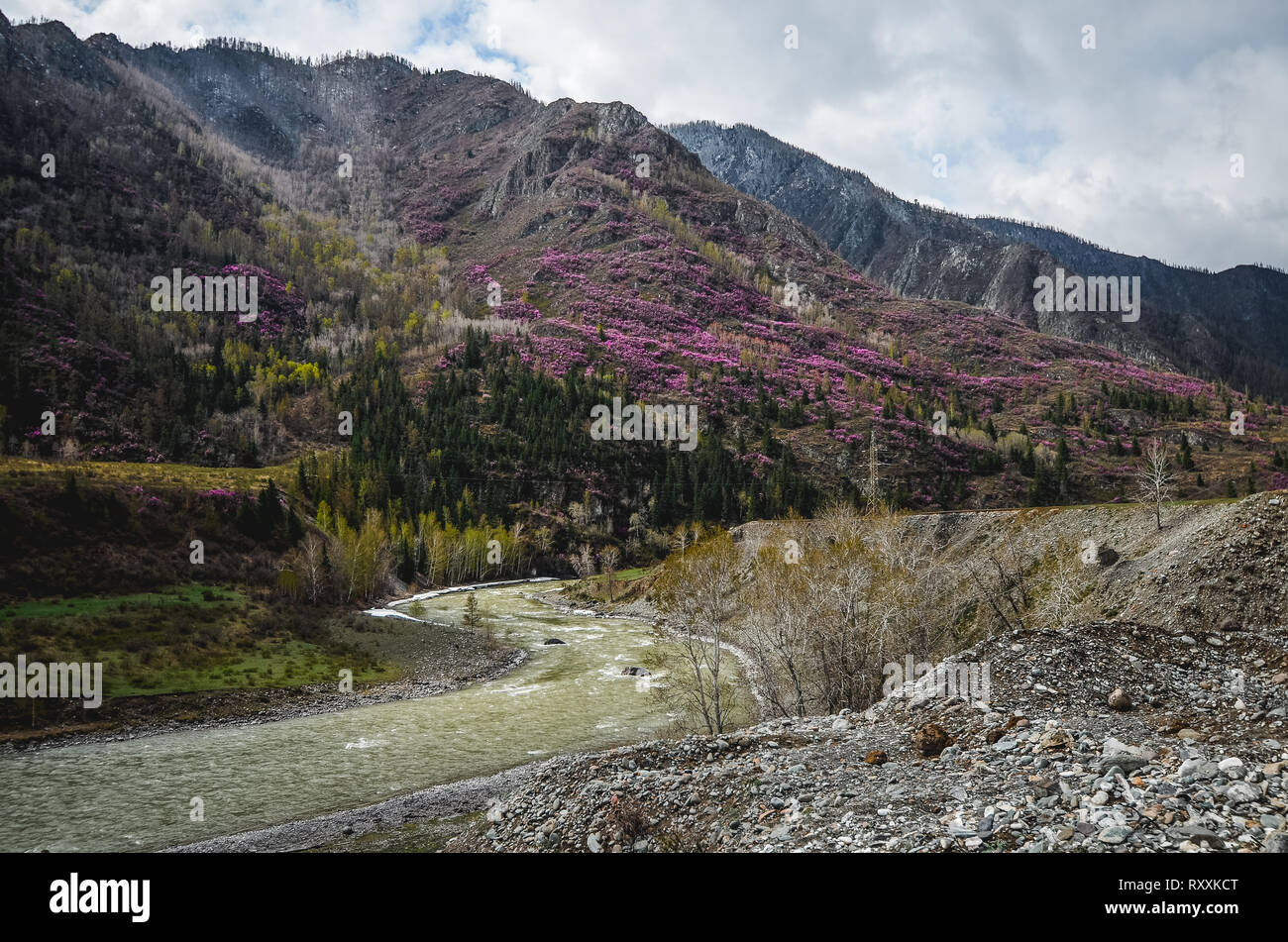 Mountain landscapes of the Chui tract, Altai. Valley Chuya ...