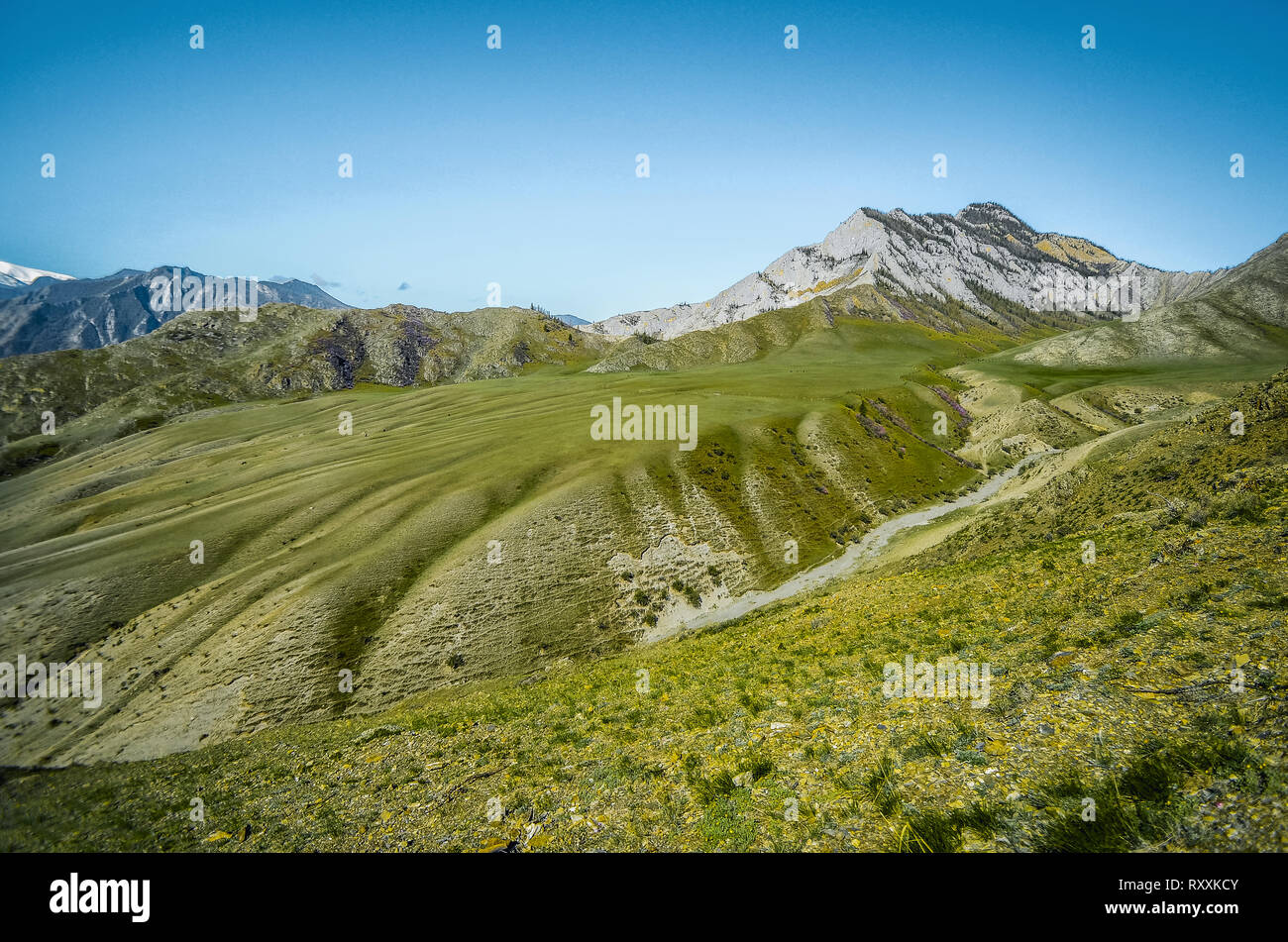 Mountain landscapes of the Chui tract, Altai. Valley Chuya ...