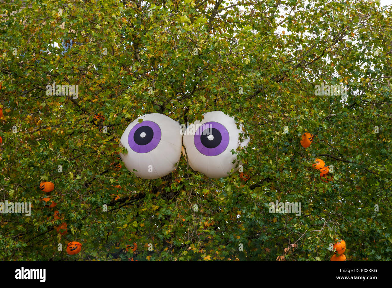 Plastic eyes tree art hi-res stock photography and images - Alamy