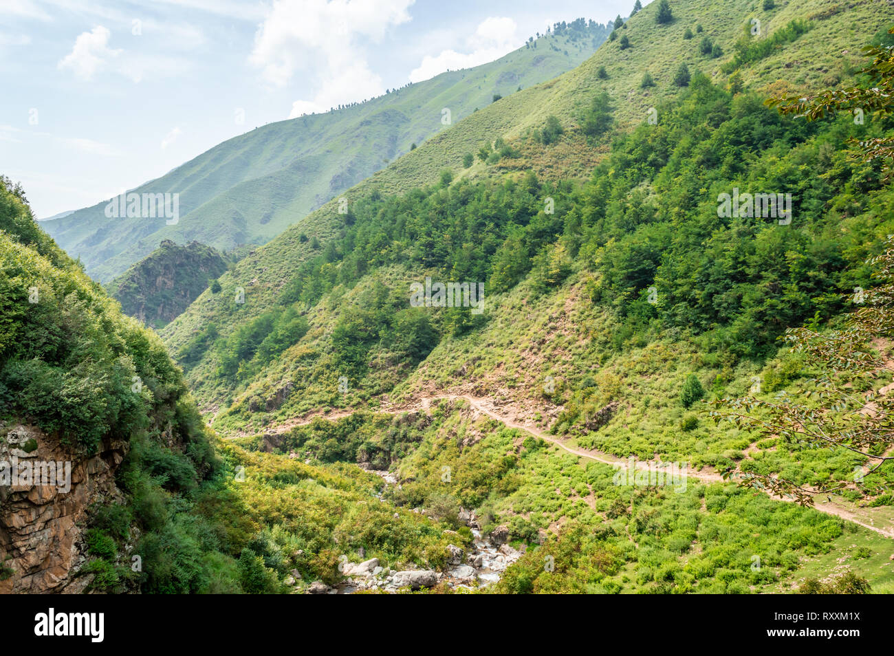 Trekking track route through green forest in Kashmir Stock Photo - Alamy