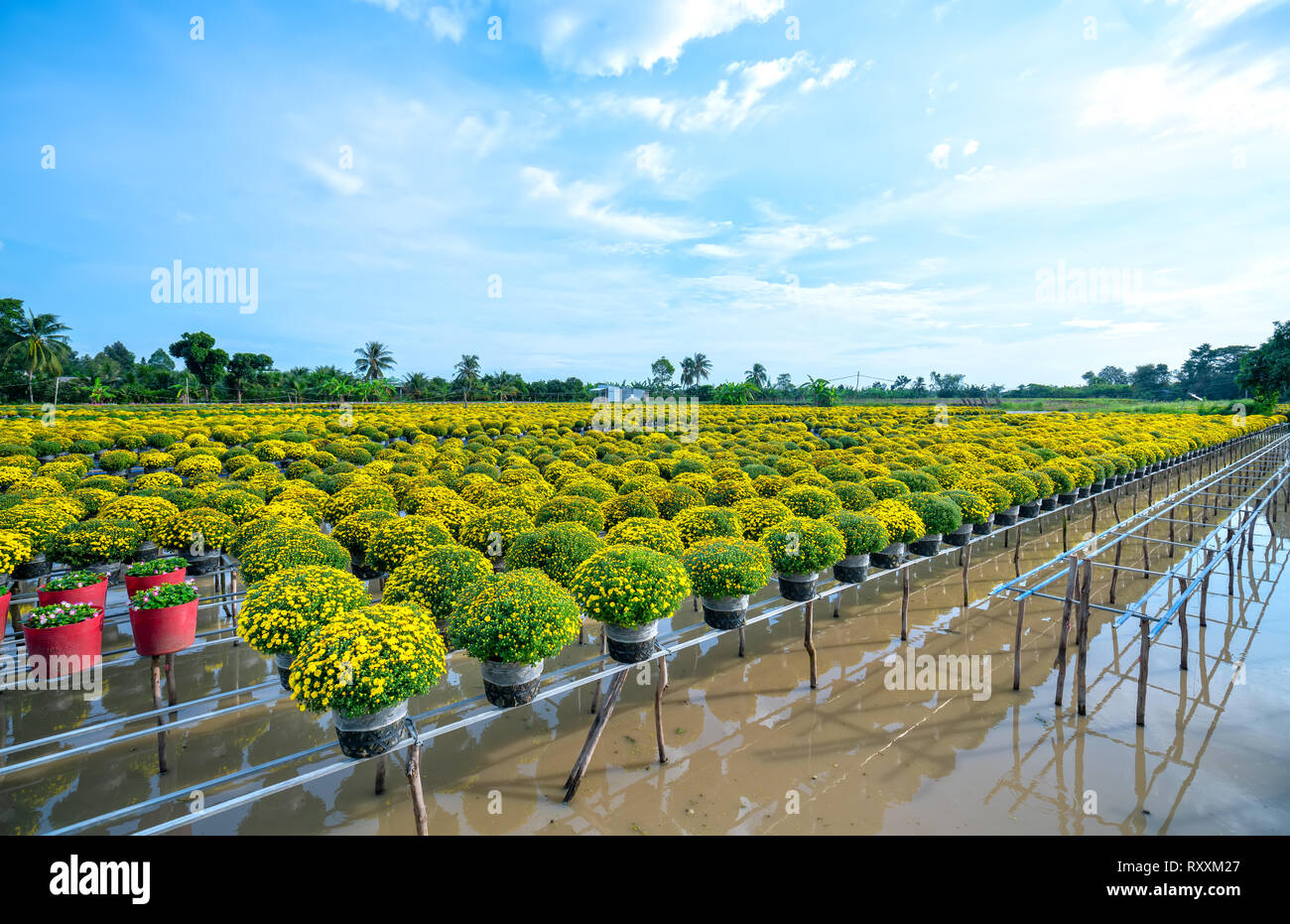 Floating garden beds hi-res stock photography and images - Alamy