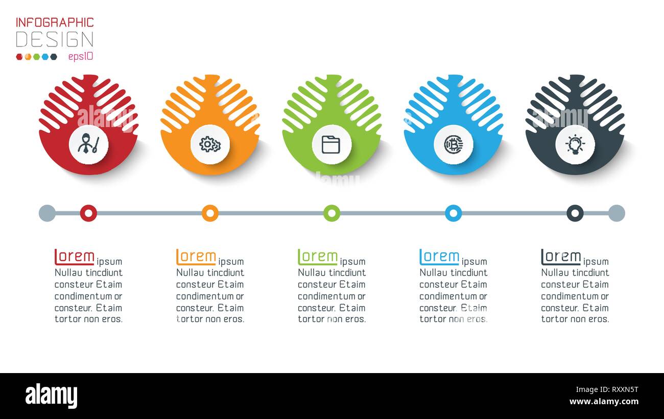 Five harmonious circle infographics Stock Vector Image & Art - Alamy