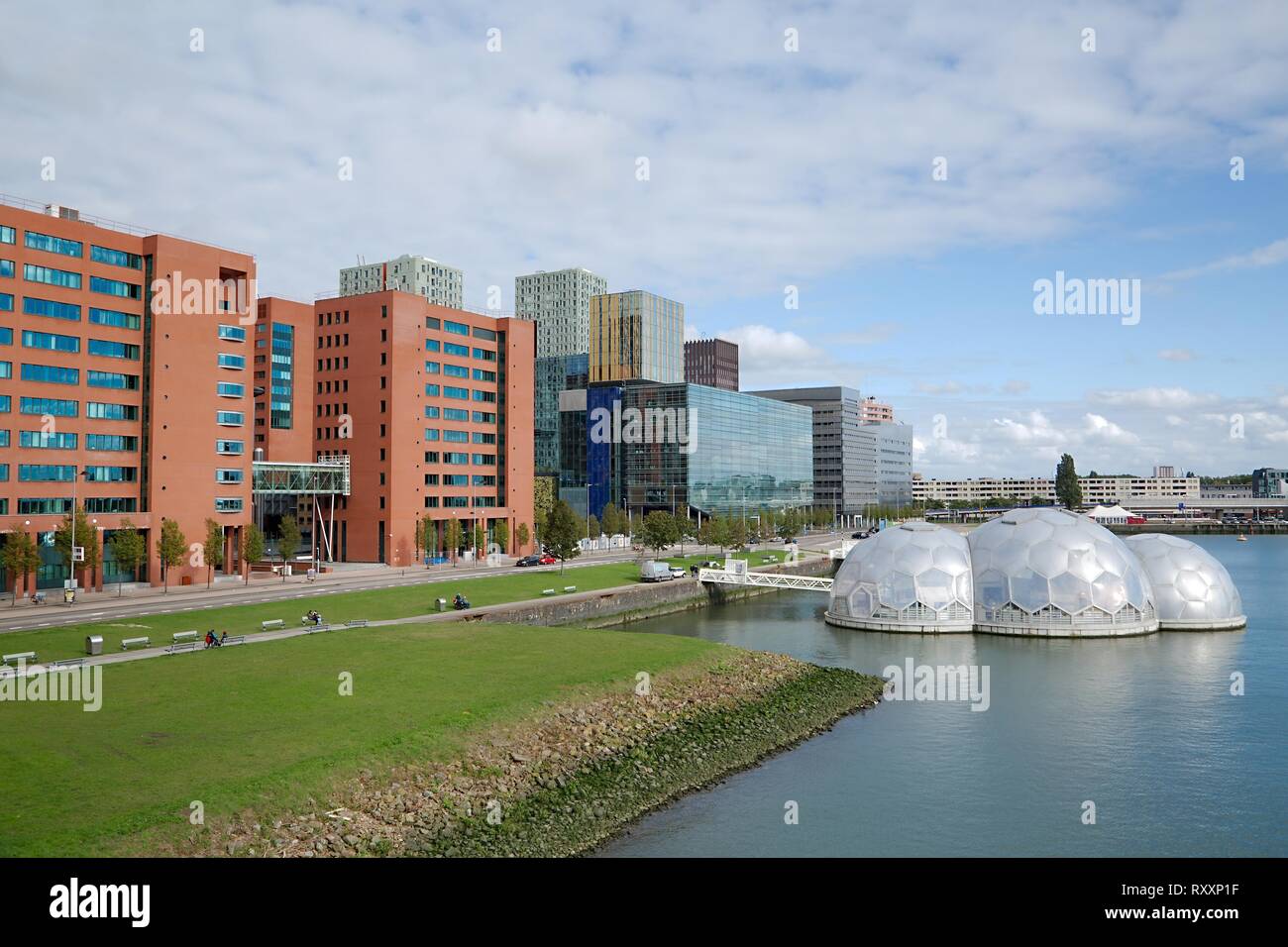 Rotterdam urban district with modern buildings Stock Photo - Alamy
