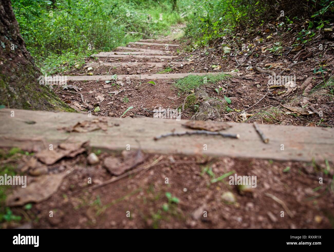 An outside path with steps Stock Photo - Alamy