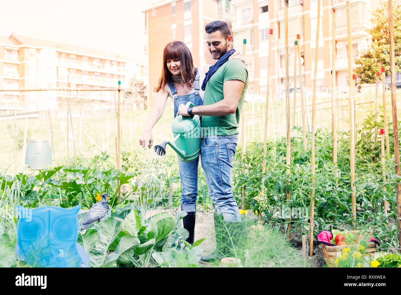 beautiful engaged couple watering plants in the garden Stock Photo - Alamy