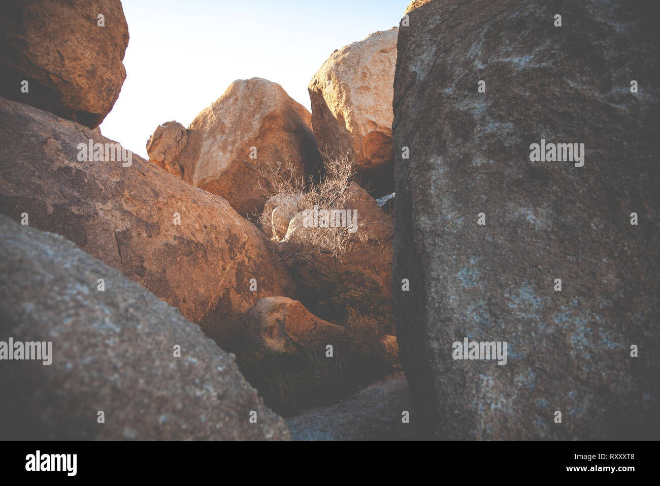 Exploring the desert hi-res stock photography and images - Alamy