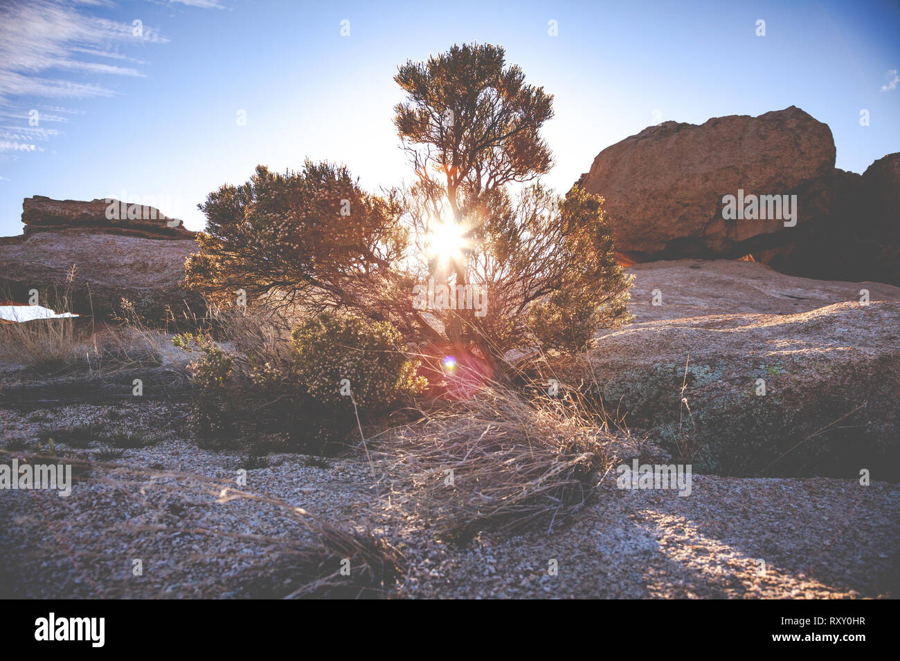 Vast desert landscape hi-res stock photography and images - Alamy