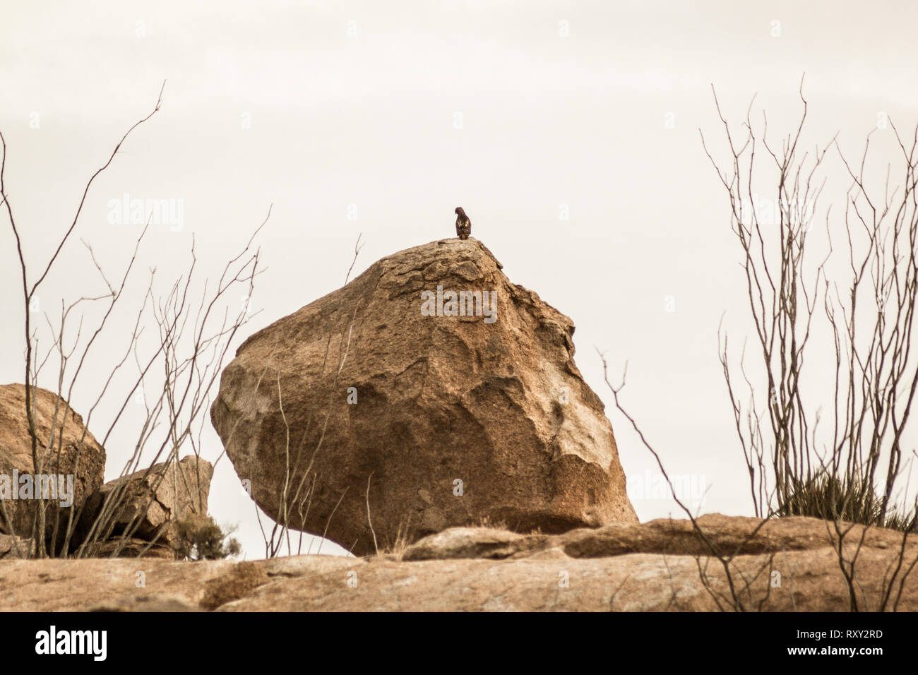 Planning a trip to arizona hi-res stock photography and images - Alamy