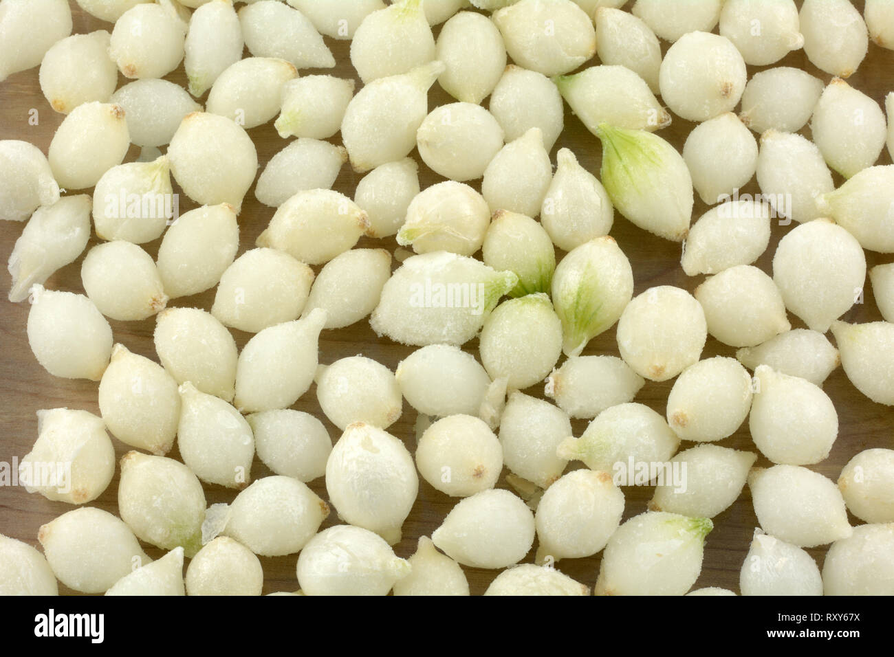 Pearl onions frozen hi-res stock photography and images - Alamy